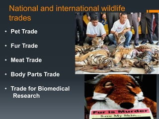 Presentation on nature and wildlife conservation | PPTX