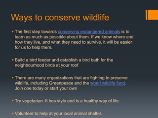 Presentation on nature and wildlife conservation | PPTX
