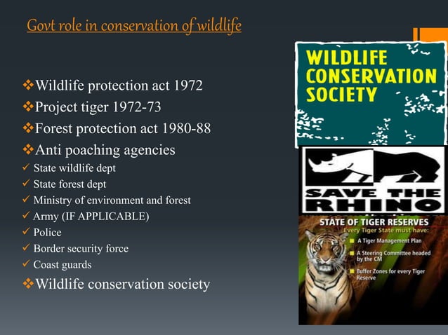 Presentation on nature and wildlife conservation | PPTX