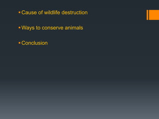 Presentation on nature and wildlife conservation | PPTX