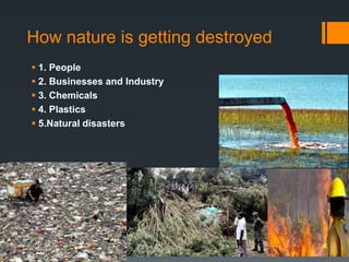Presentation on nature and wildlife conservation | PPTX