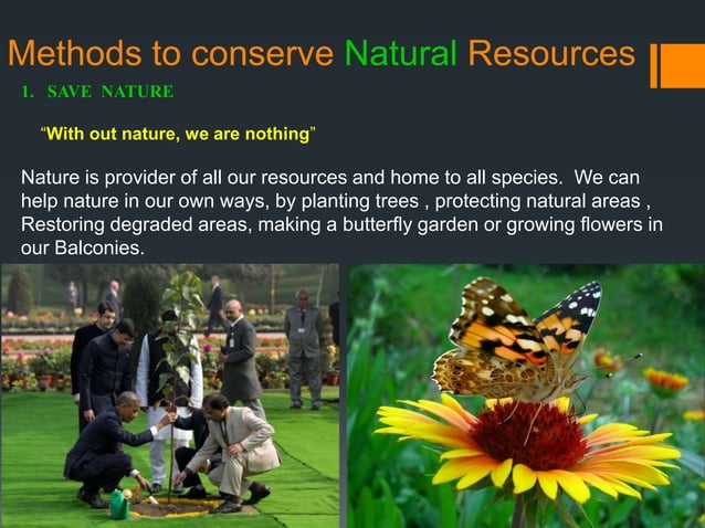 Presentation on nature and wildlife conservation | PPTX