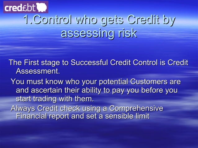 Presentation On 7 Steps To Effective Credit Control | PPT