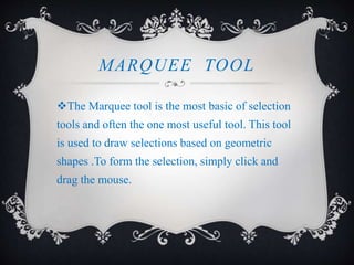 Presentation on adobe | PPTX