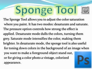 Presentation on adobe photoshop® tools | PPTX