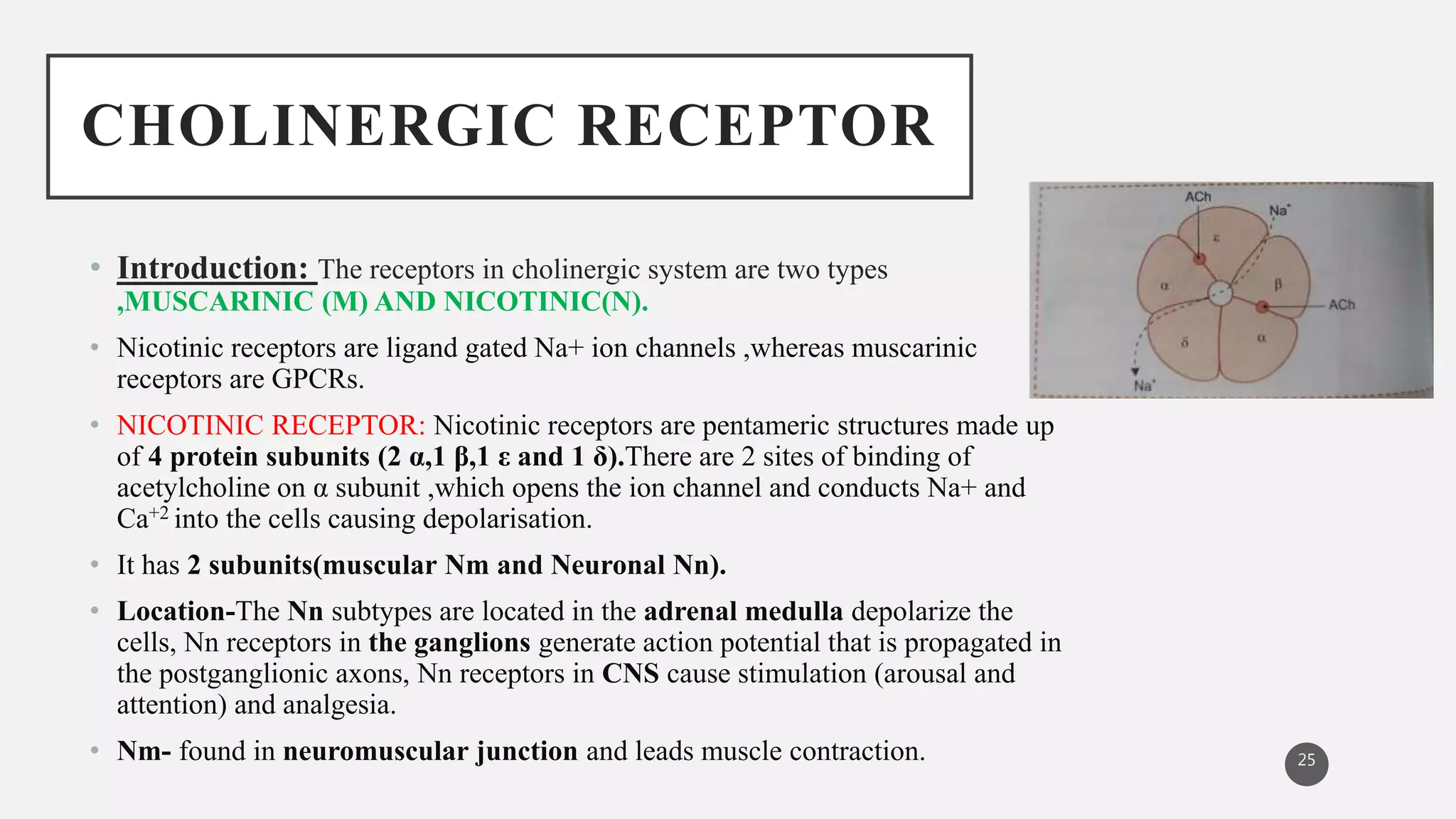 Adrenergic and cholinergic agents | PPTX