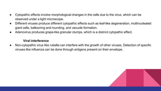 Presentation on Advanced Virology in virus cultivation.pptx
