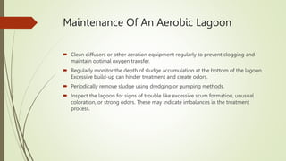 PRESENTATION ON AEROBIC LAGOON.pptx on environmental waste control | PPTX
