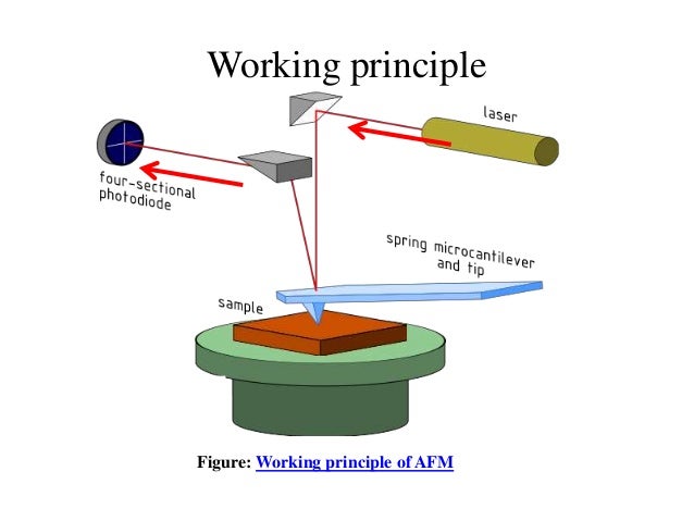 Introduction to Atomic Force Microscopy