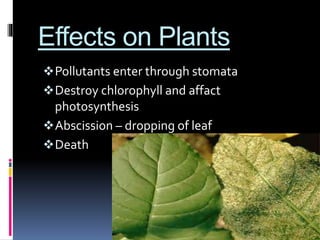 Presentation on air pollution | PPTX