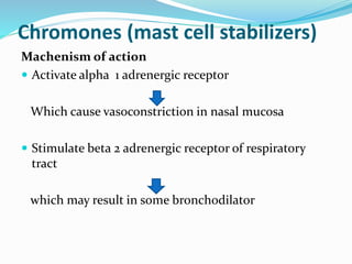 Presentation on allergic rhinitis.pptx