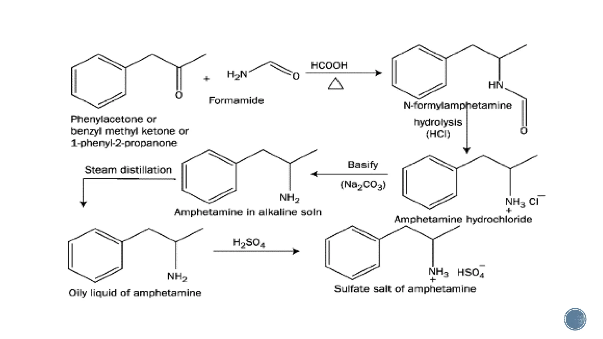 Presentation on amphetamine toxicity | PPTX