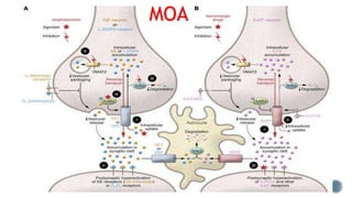 Presentation on amphetamine toxicity | PPTX