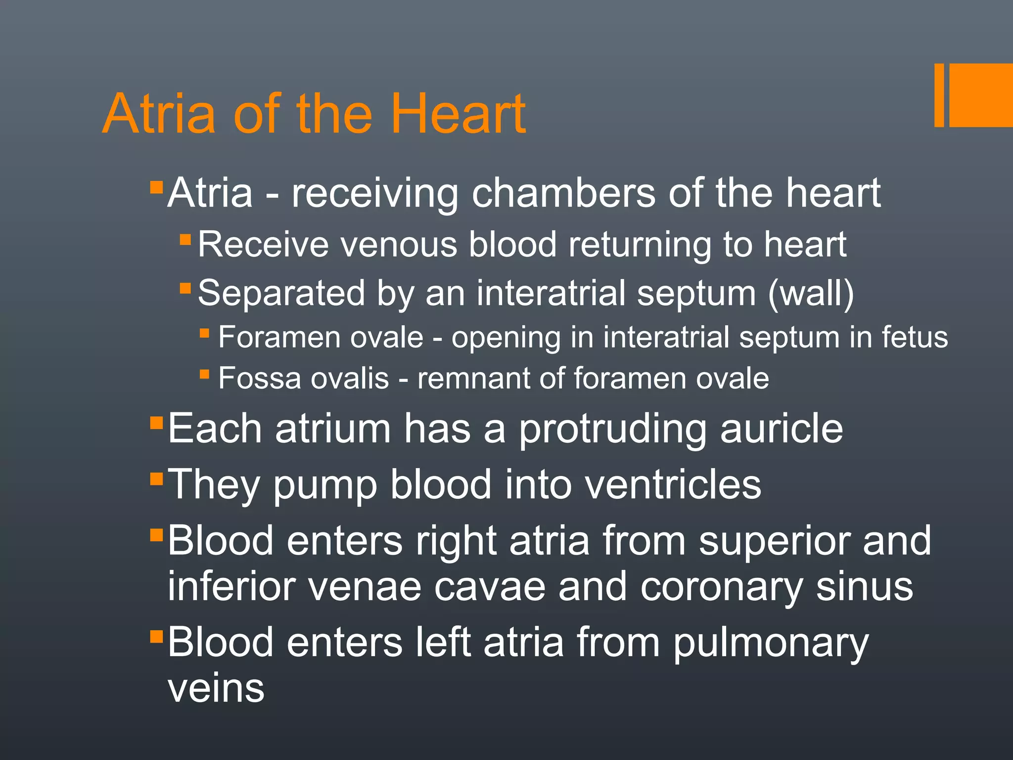 Presentation on anatomy of heart ,coronary circulation ,mi and ecg ...