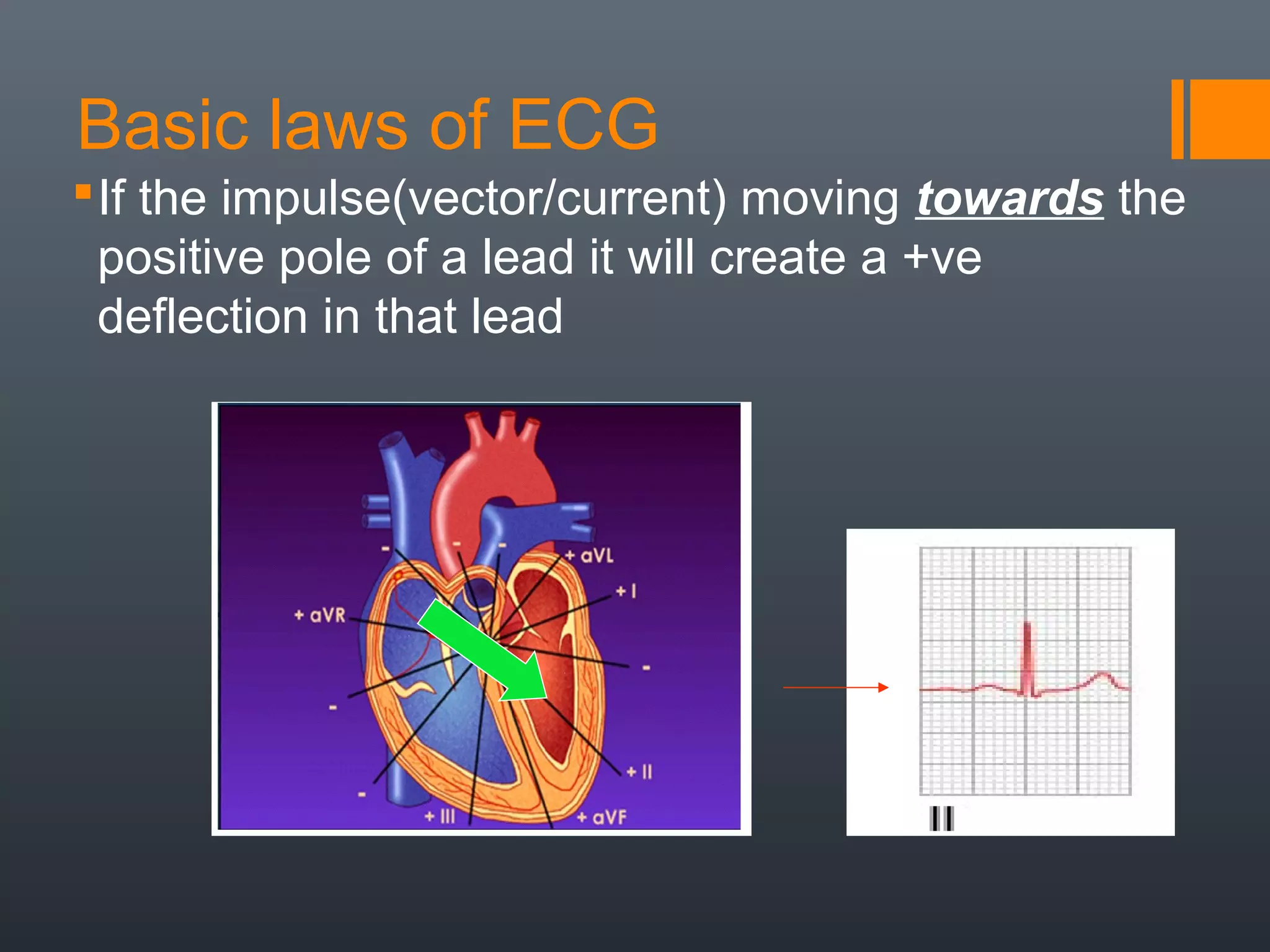 Presentation on anatomy of heart ,coronary circulation ,mi and ecg ...