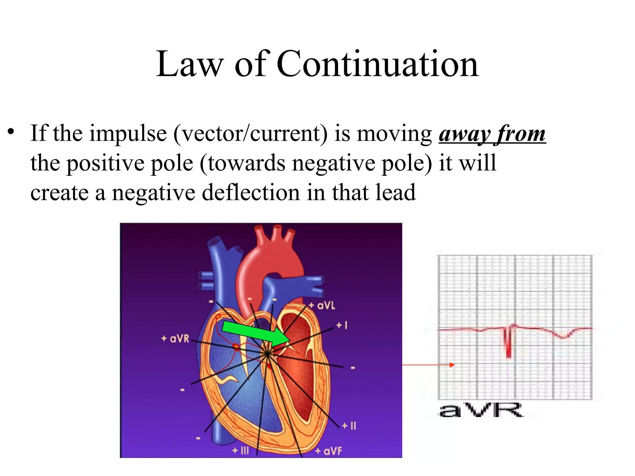 Presentation on anatomy of heart ,coronary circulation ,mi and ecg ...