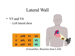 Presentation on anatomy of heart ,coronary circulation ,mi and ecg ...