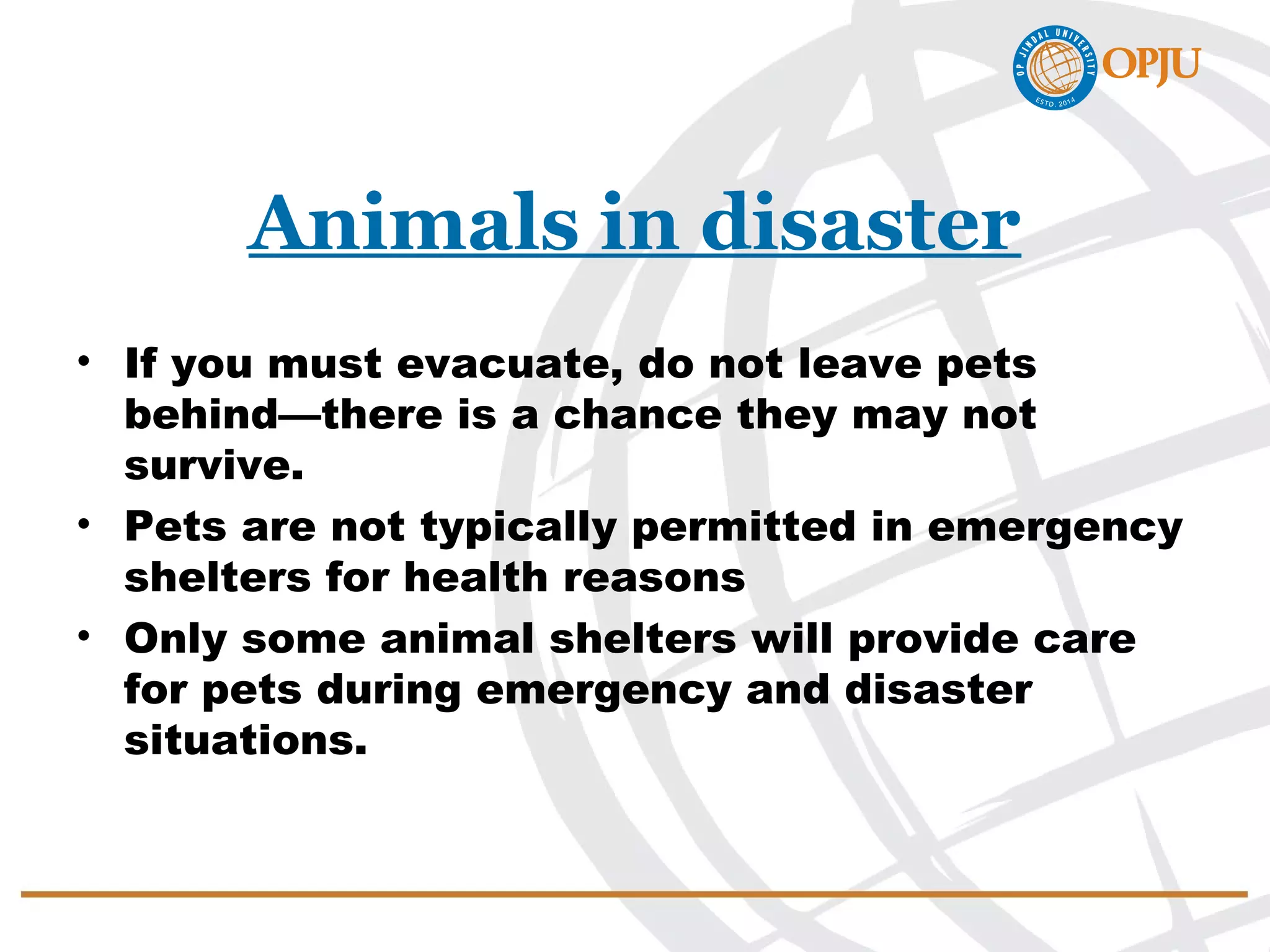 Presentation on animals in disaster | PPT