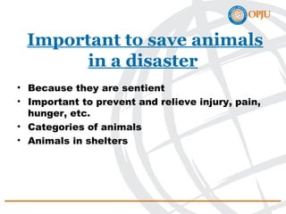Presentation on animals in disaster | PPT