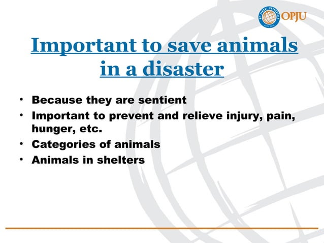 Presentation on animals in disaster | PPT | Disasters