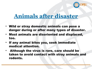 Presentation on animals in disaster | PPT