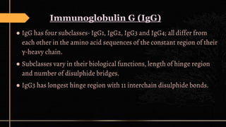 Types of Antibody | PPTX