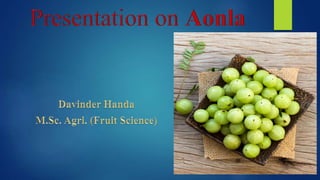 Cultivation of aonla. | PPTX