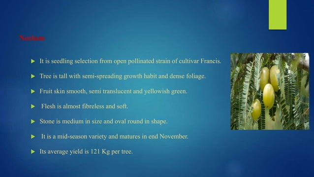 Cultivation of aonla. | PPTX | Agriculture | Industries