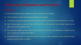 Cultivation of aonla. | PPTX