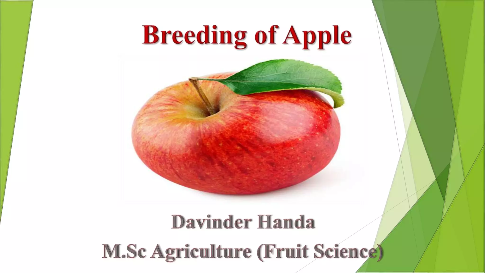 Breeding of Apple | PPTX