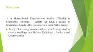 Breeding of Apple | PPTX