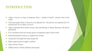 Breeding of Apple | PPTX