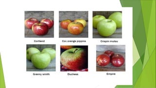 Breeding of Apple | PPTX