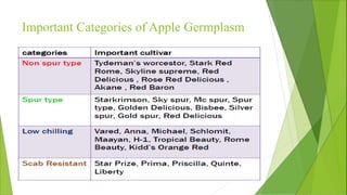 Breeding of Apple | PPTX