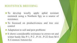 Breeding of Apple | PPTX
