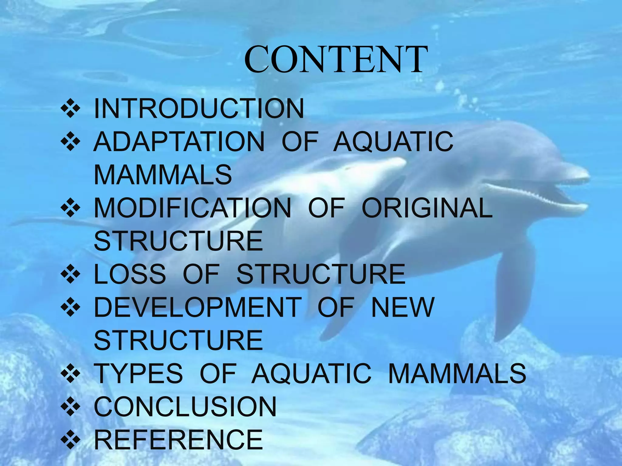 Presentation on aquatic mammals | PPTX