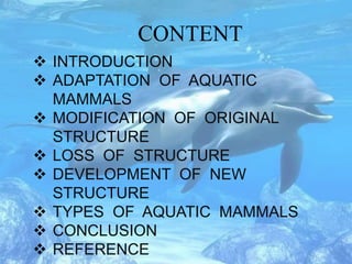 Presentation on aquatic mammals | PPTX