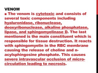 Presentation on aranea envenomation | PPTX