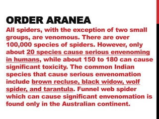 Presentation on aranea envenomation | PPTX