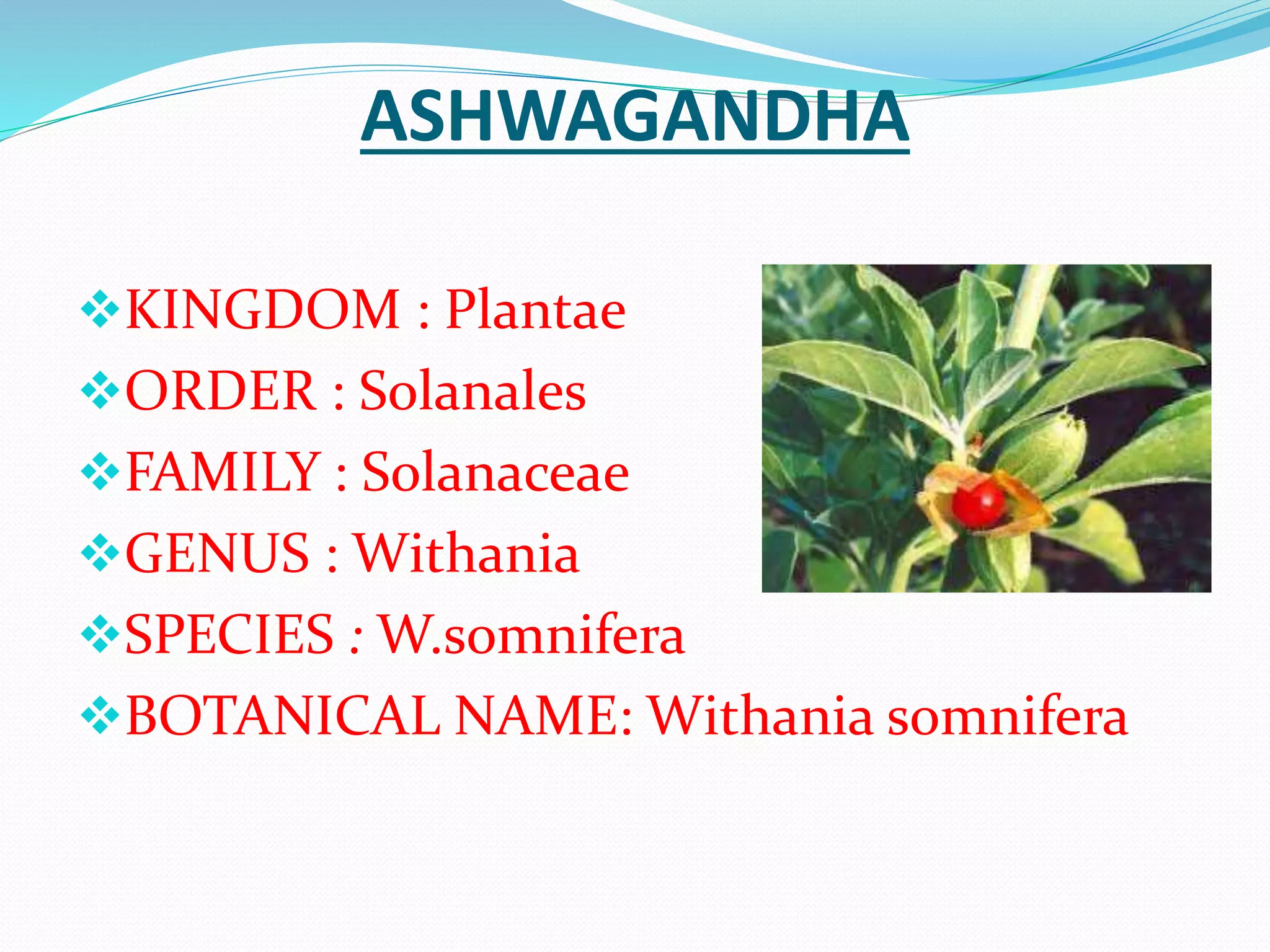 Presentation on ashwagandha | PPTX