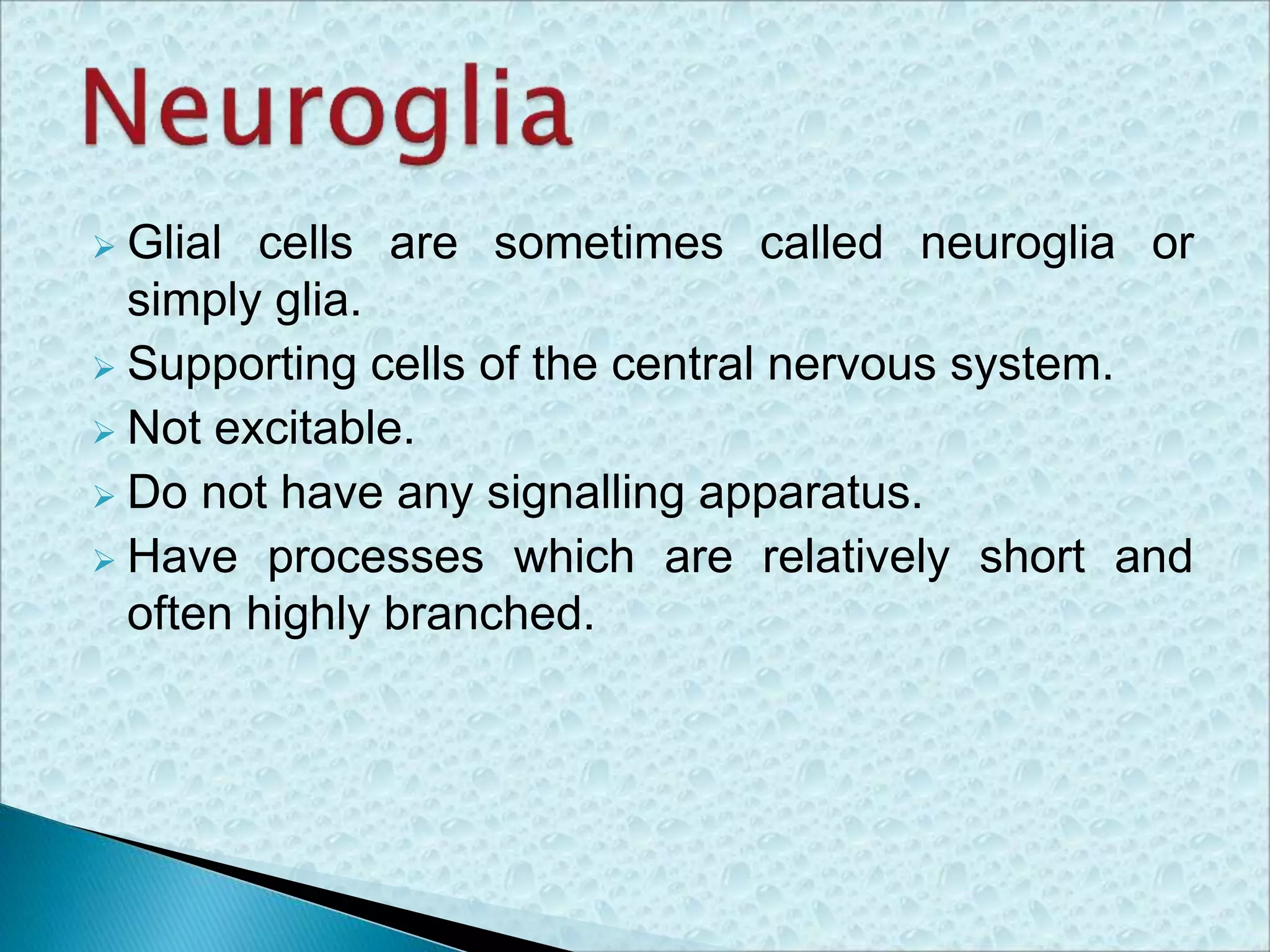 Presentation on astrocytes | PPTX