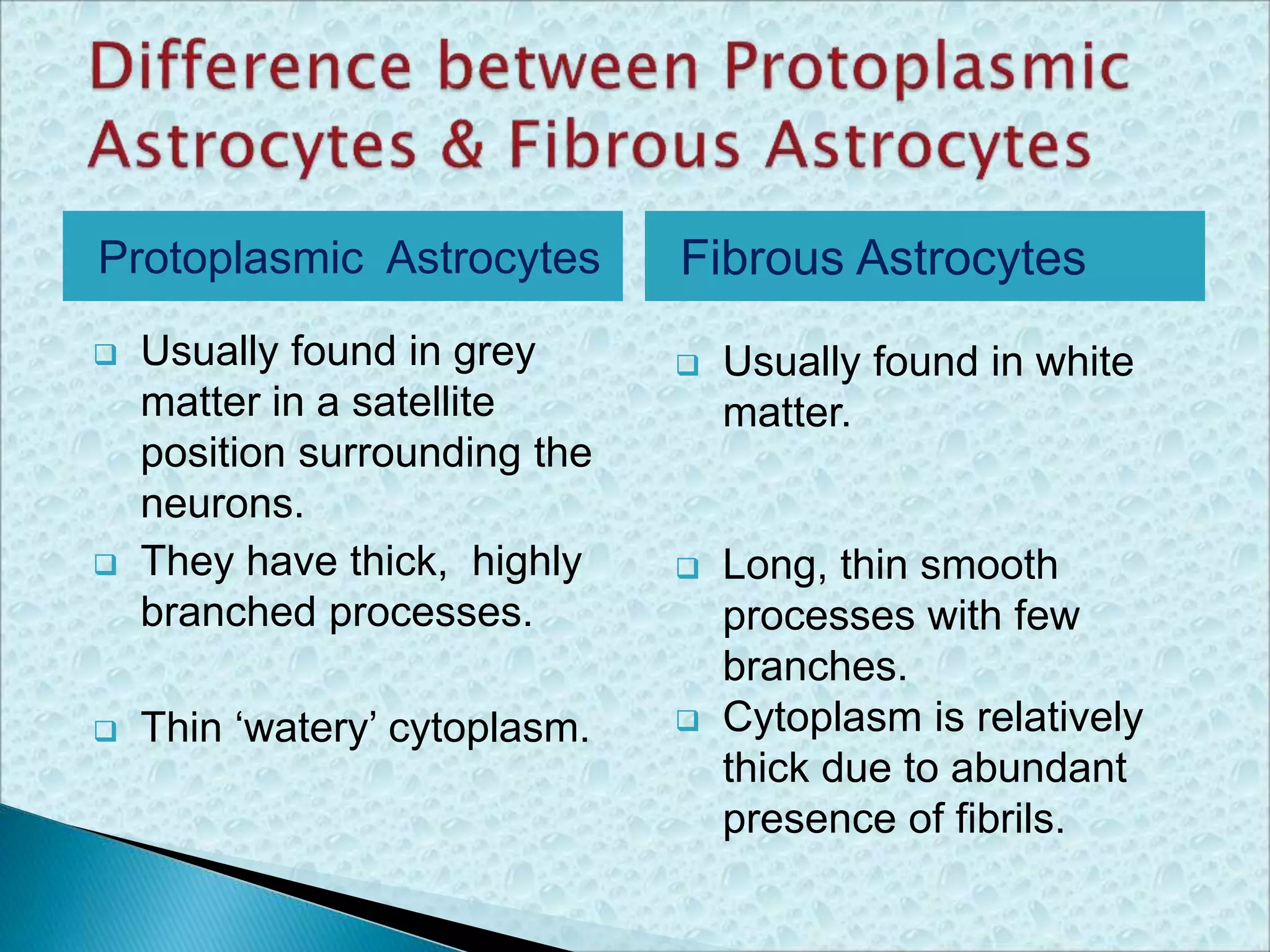 Presentation on astrocytes | PPTX