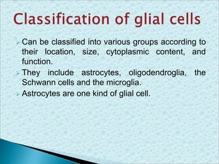 Presentation on astrocytes | PPTX