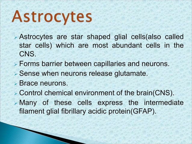 Presentation on astrocytes | PPTX | Brain and Nervous System Disorders ...