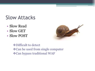 Presentation on Web Attacks | PPTX