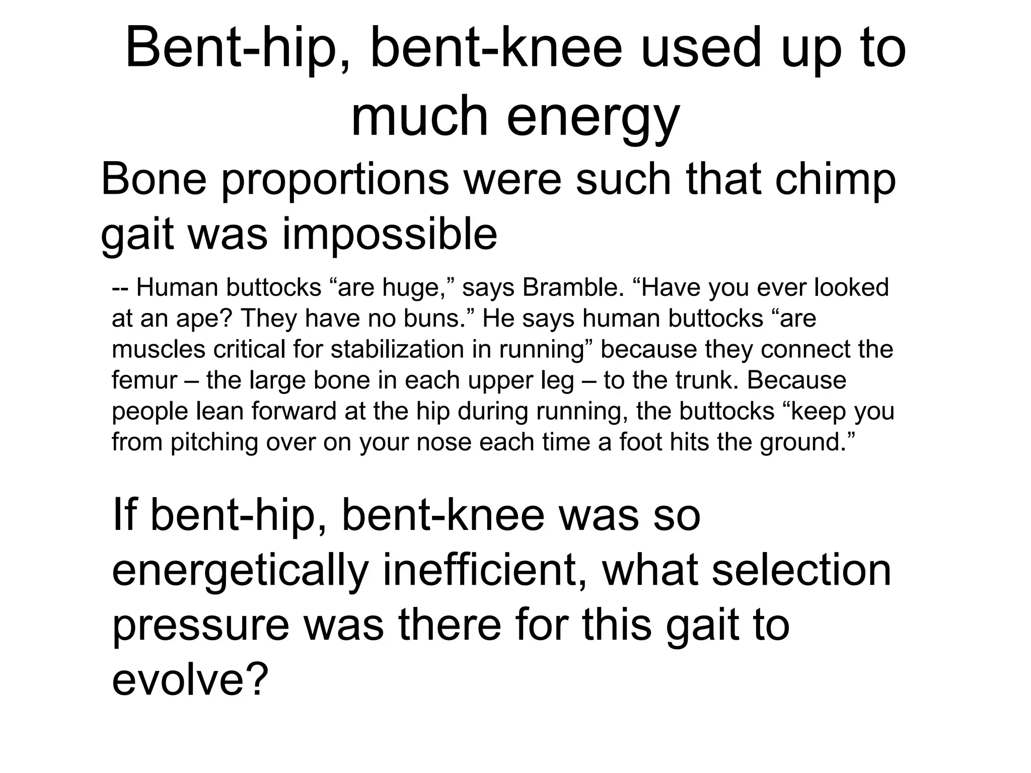 Australopithecus Walking | PPT