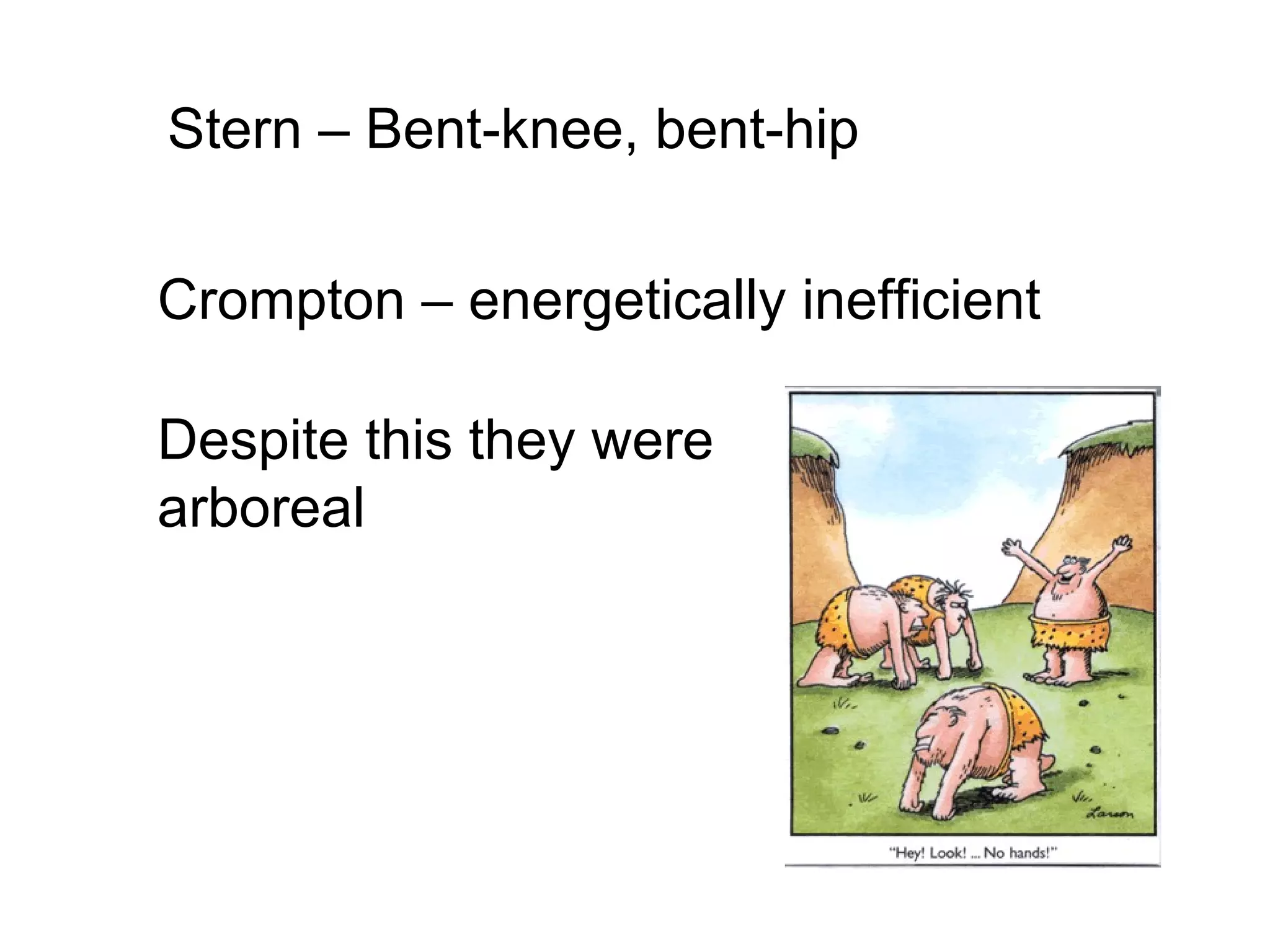 Australopithecus Walking | PPT