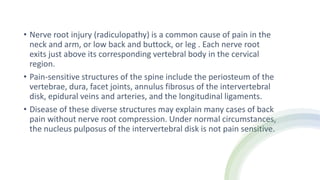 Presentation on back pain.pptx