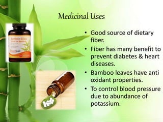 Presentation on bamboo tree | PPTX