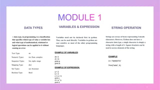 Presentation on basics of python | PPT